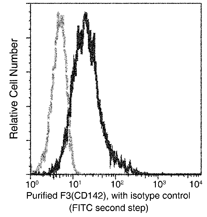 Anti-Coagulation Factor III / Tissue Factor / CD142 antibody (101386)